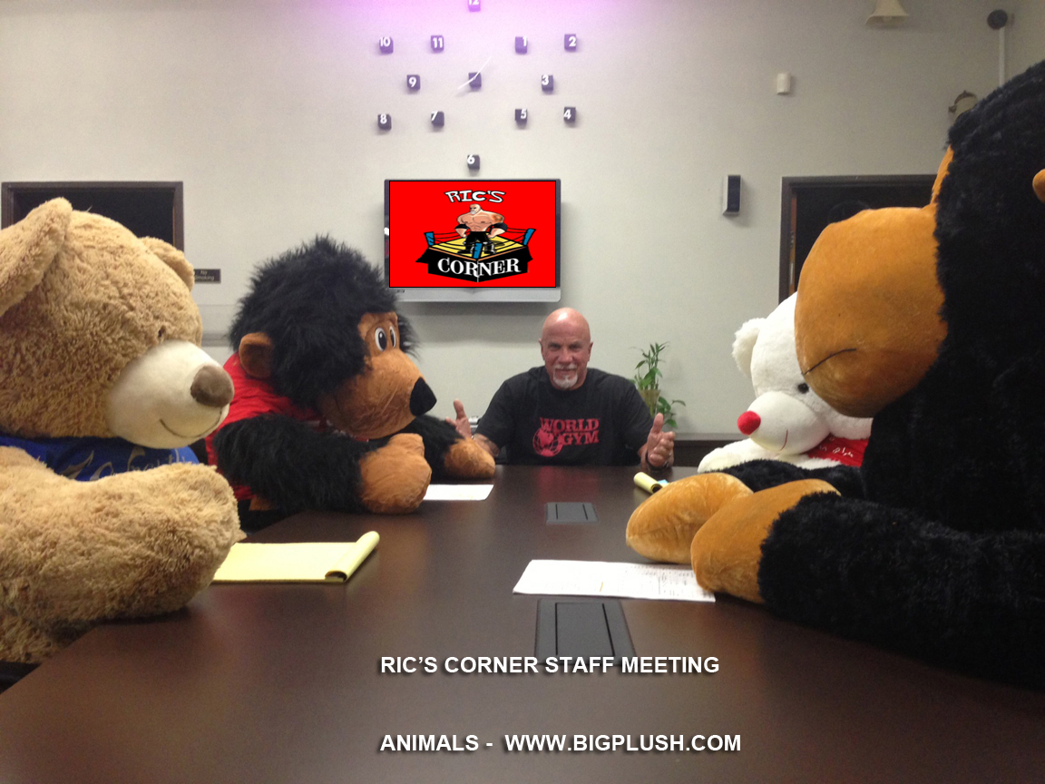Ric Drasin Ric's Corner Referral Page For Valentine's Day Giant Teddy ...